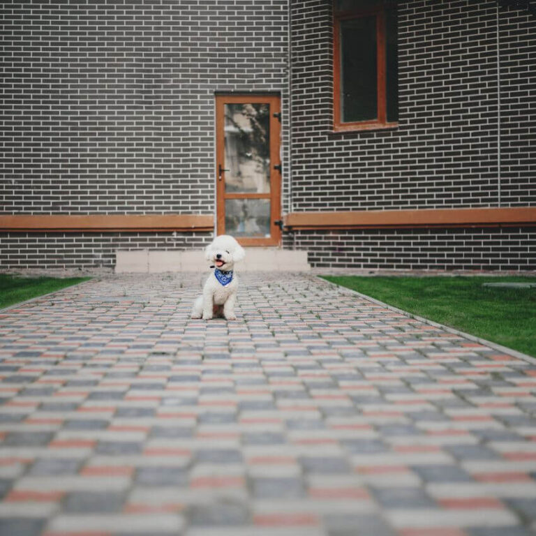 Paving & Interlocking Design ☑️ Top-Rated Service in Vaughan